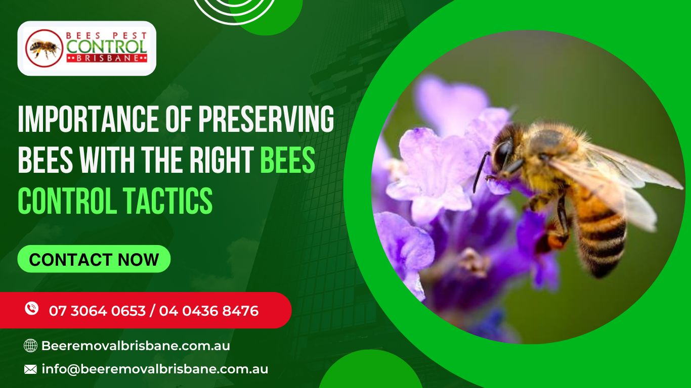Importance of Preserving Bees with the Right Bees Control Tactics