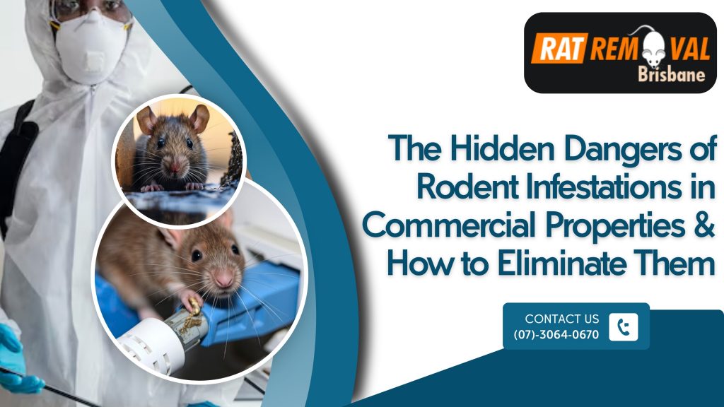 The Hidden Dangers of Rodent Infestations in Commercial Properties ...